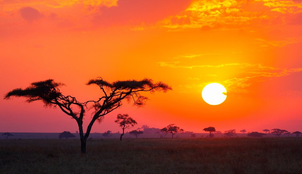 10 Best Things To Do In Walvis Bay 2026 | Cool Destinations